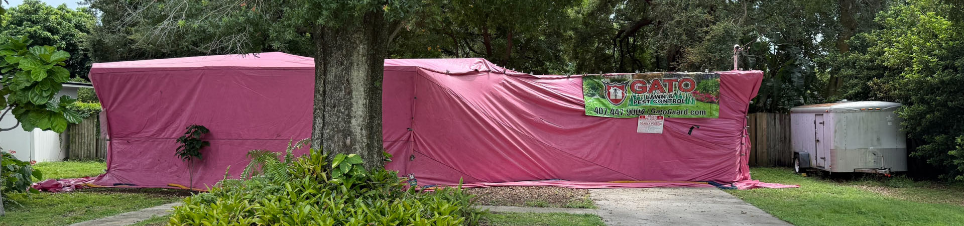 WDO Termite Inspections | Central Florida Termite Inspectors